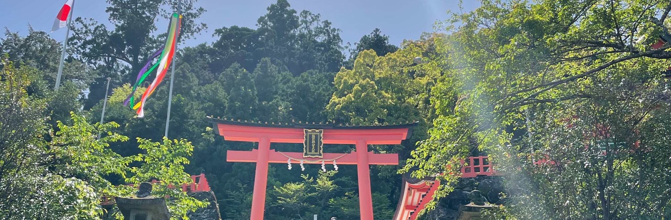 ∞結∞の新人 佑澪（yumi）ブログ一覧｜coconalaブログ