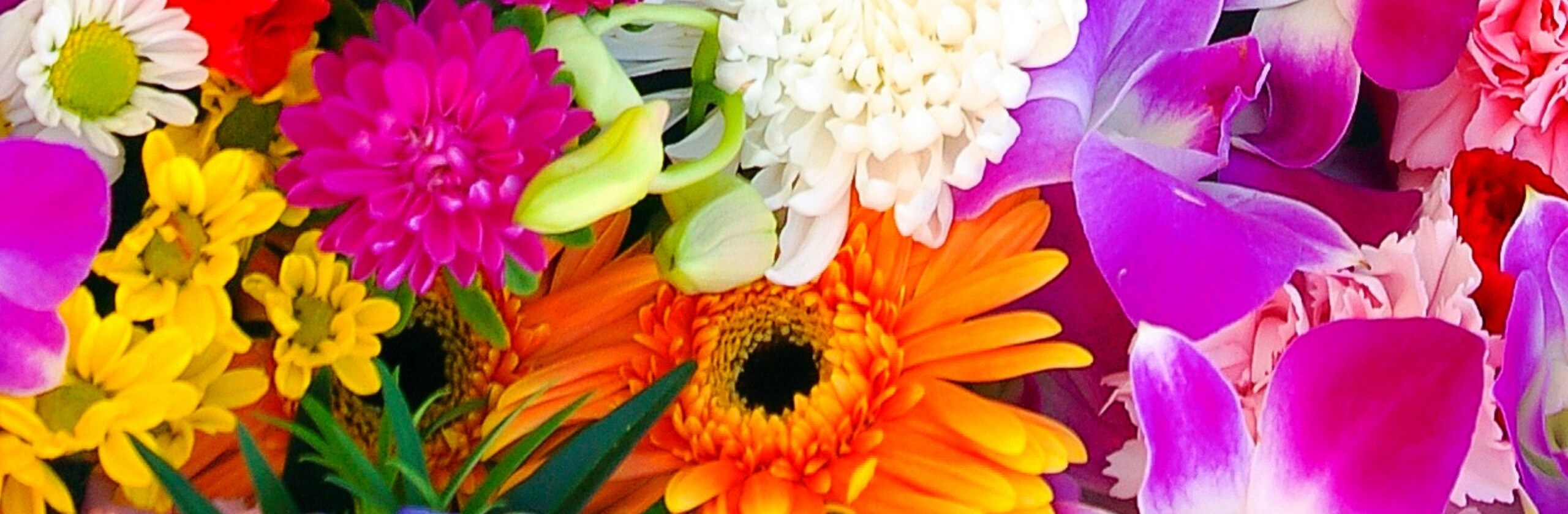 水花かなみブログ一覧｜coconalaブログ