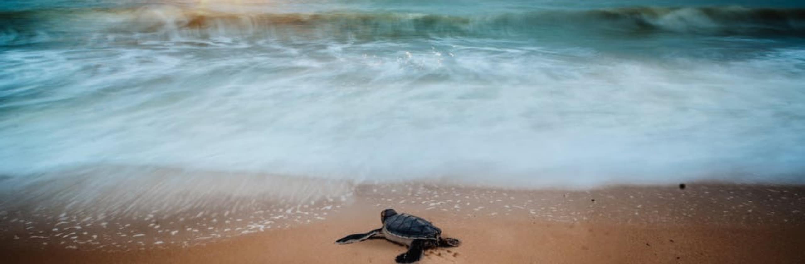 coco_hiroブログ一覧｜coconalaブログ