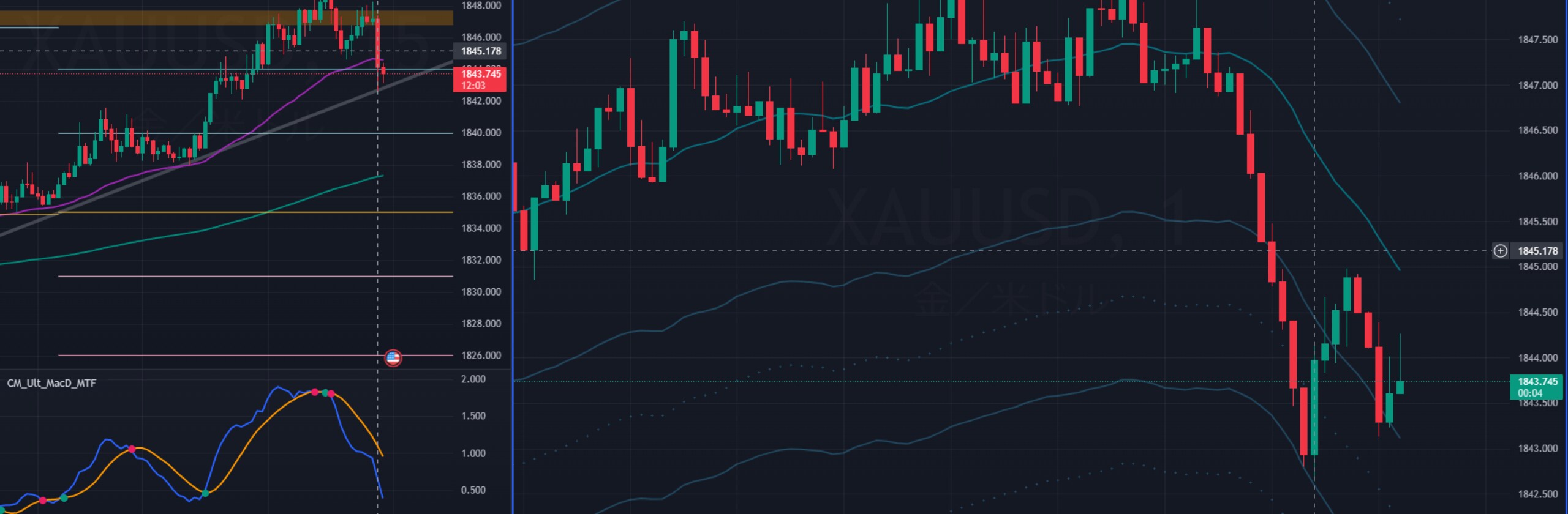 はげお Tradingviewさん(Pinescript プログラマー)のプロフィール | ココナラ