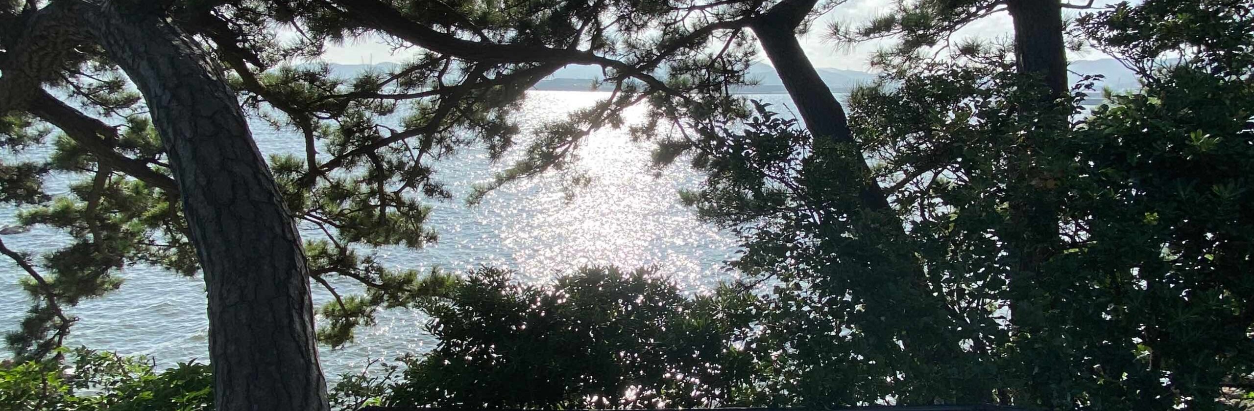 hidaka kikuchiさん(webデザイナー)のプロフィール | ココナラ