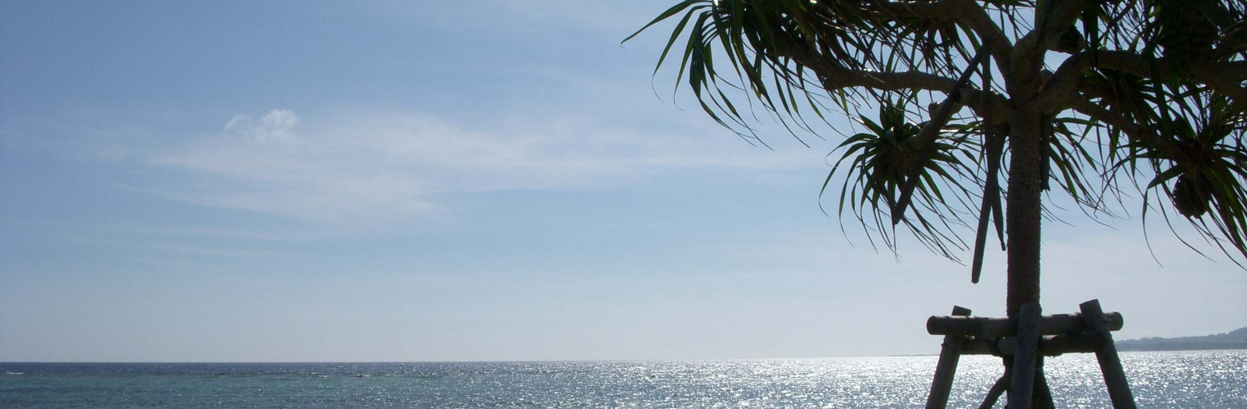 prelude_webブログ一覧｜coconalaブログ