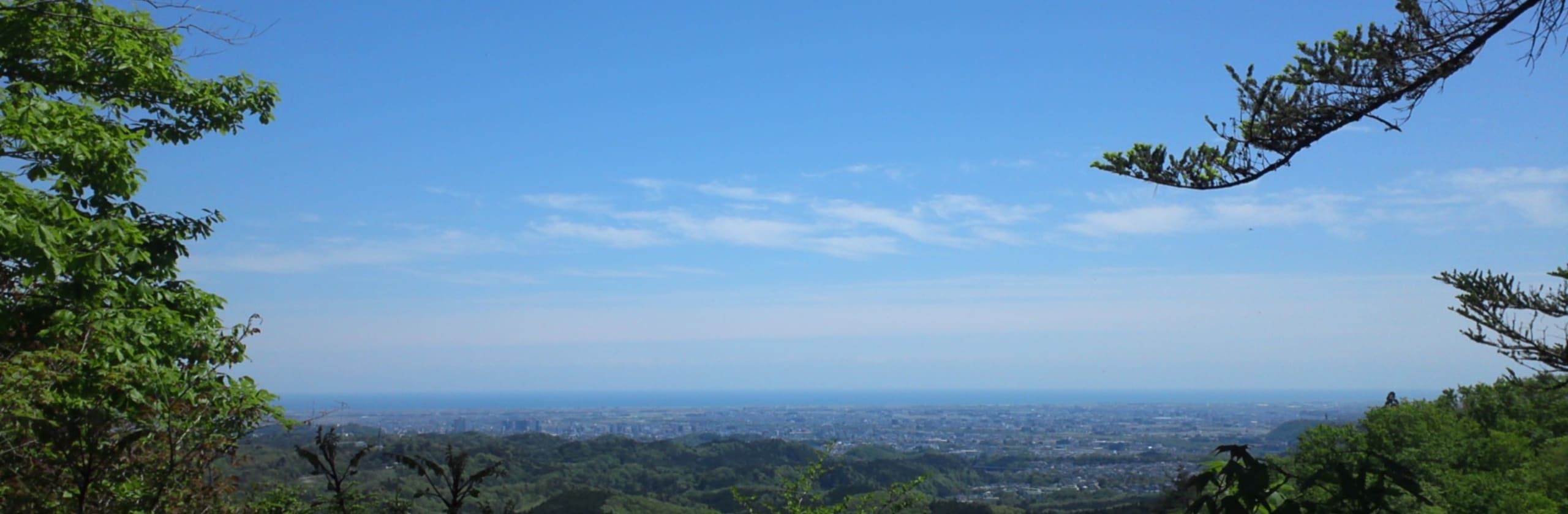 usamusubiブログ一覧｜coconalaブログ