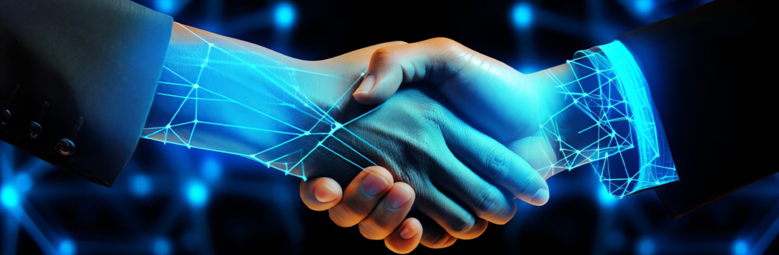 マルmaruさん(動画クリエイター)のスキル/経歴 | ココナラ