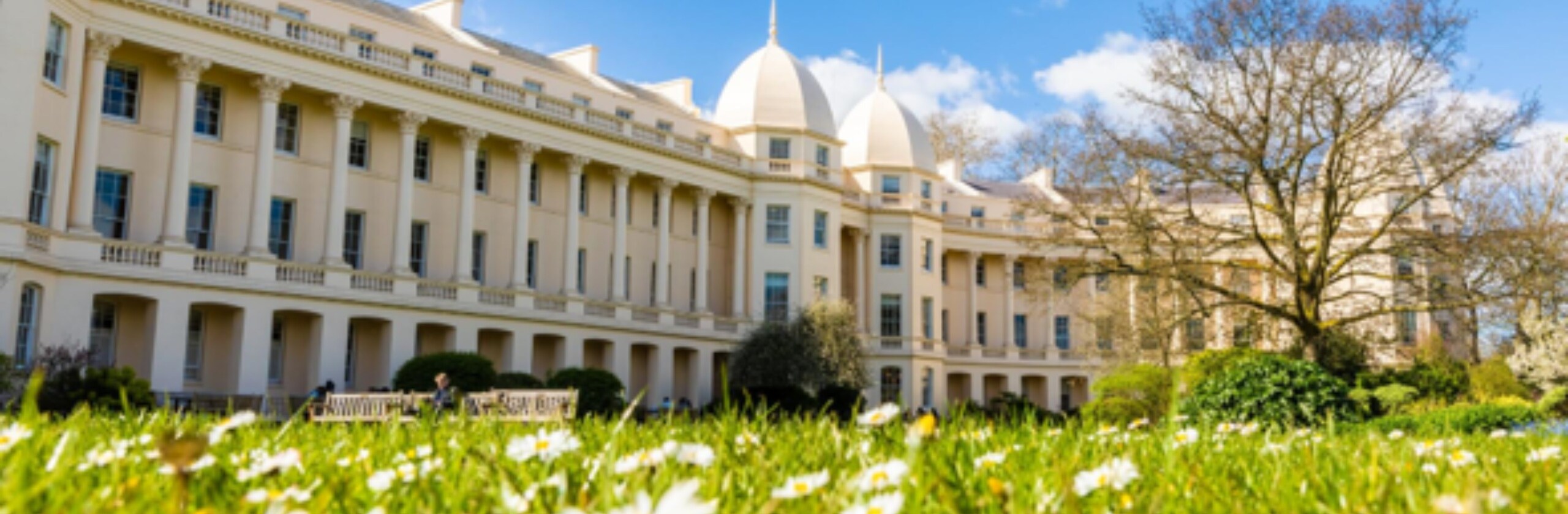 hk_cocoさん(人事労務アドバイザーxTOEIC920)のプロフィール | ココナラ