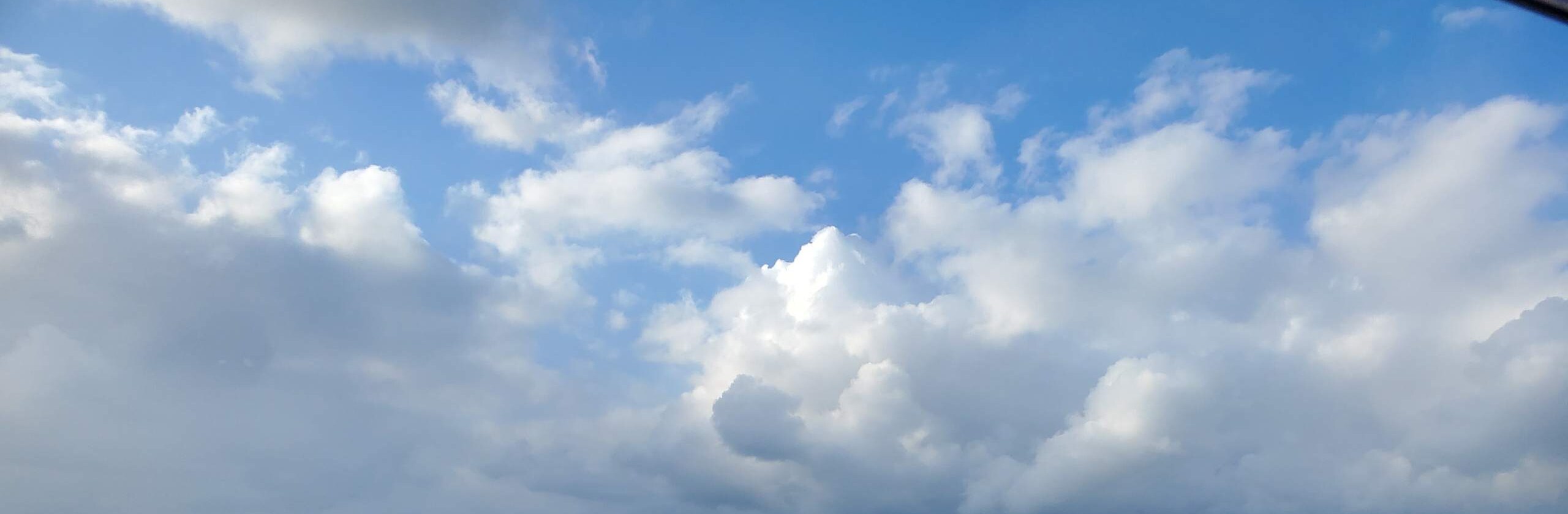 Brunaaさん(今は専業主婦)のプロフィール | ココナラ