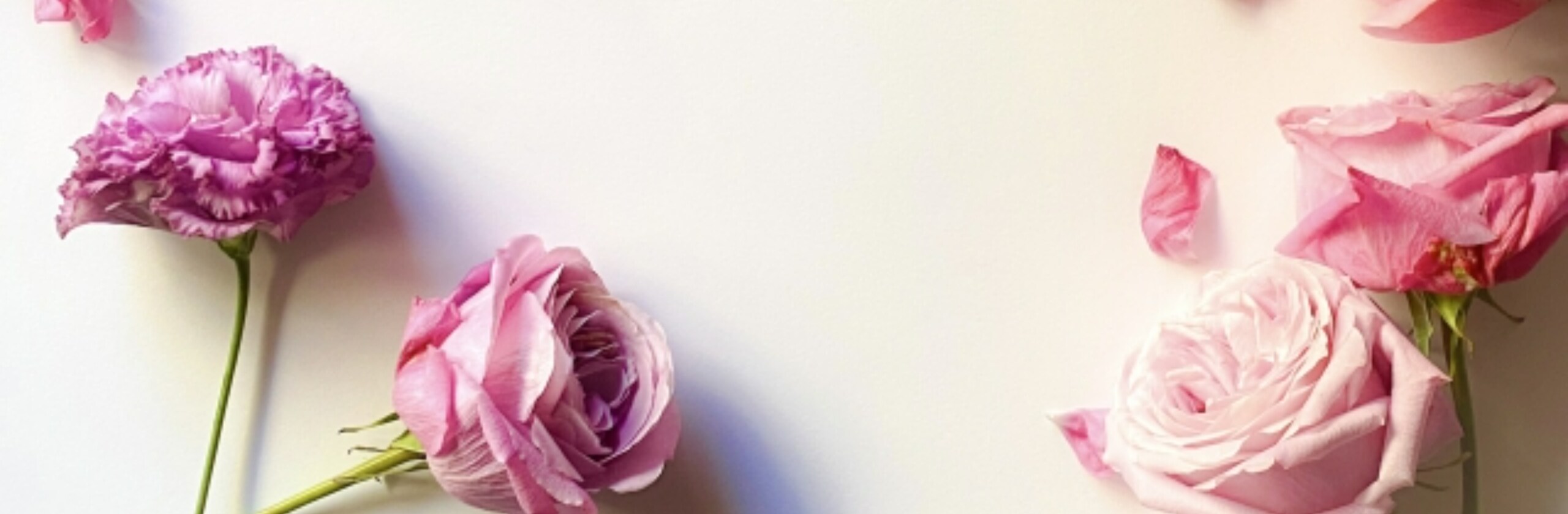 Hana＆Hana さん( 看護師・アロマセラピスト・カウンセラー)のプロフィール | ココナラ