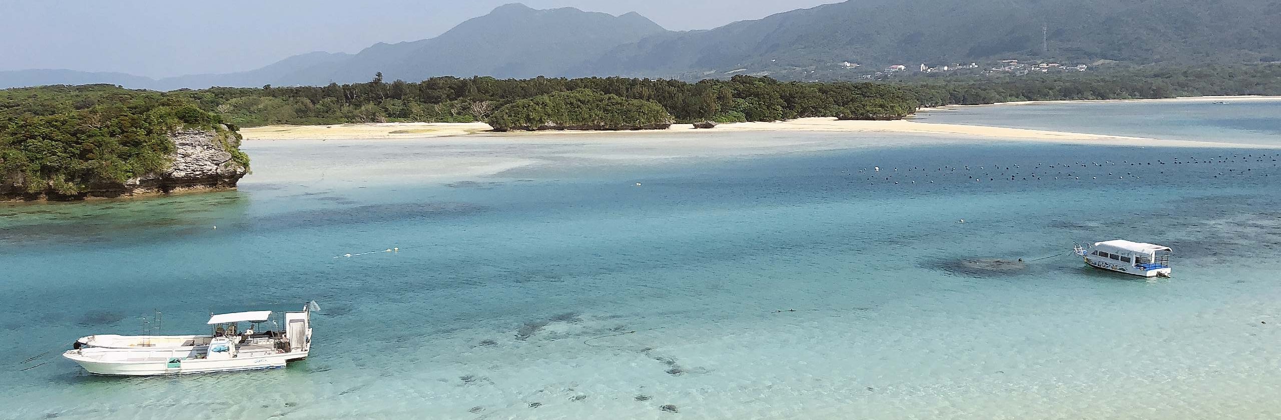 sasisusehoさんのプロフィール | ココナラ