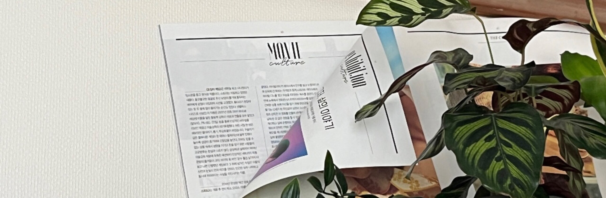 surinsurin218さん(動画クリエイター)のプロフィール | ココナラ