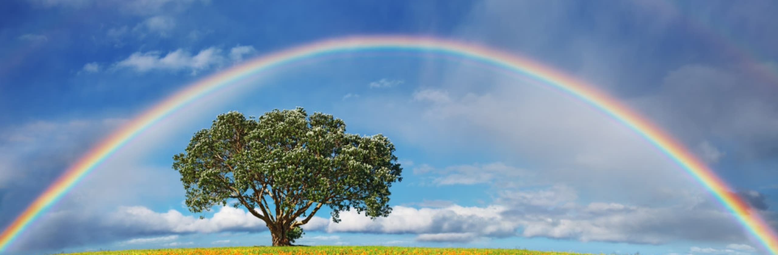 egret_happyさんのプロフィール | ココナラ