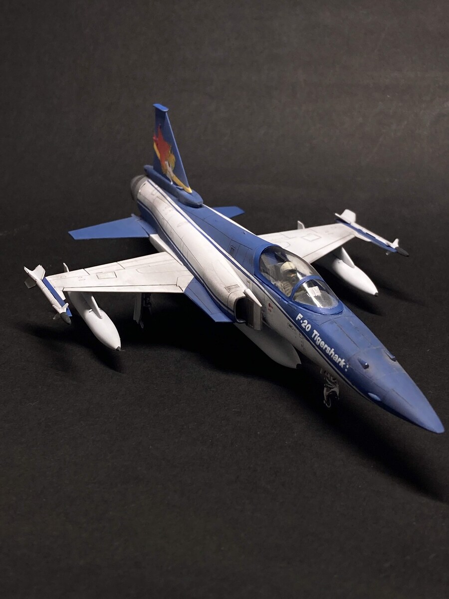 1/72 ハセガワ F-20 タイガーシャーク A88風 | good Islandさん(雑食系SE)のポートフォリオ | ココナラ